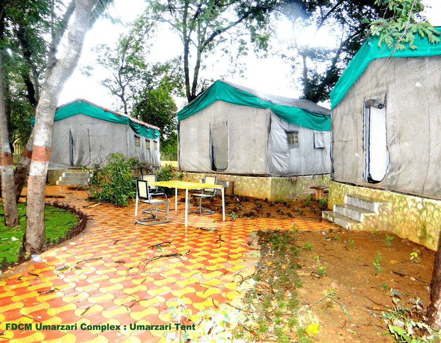 Forest Development Corporation of Maharashtra Limited