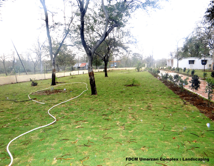 Forest Development Corporation of Maharashtra Limited